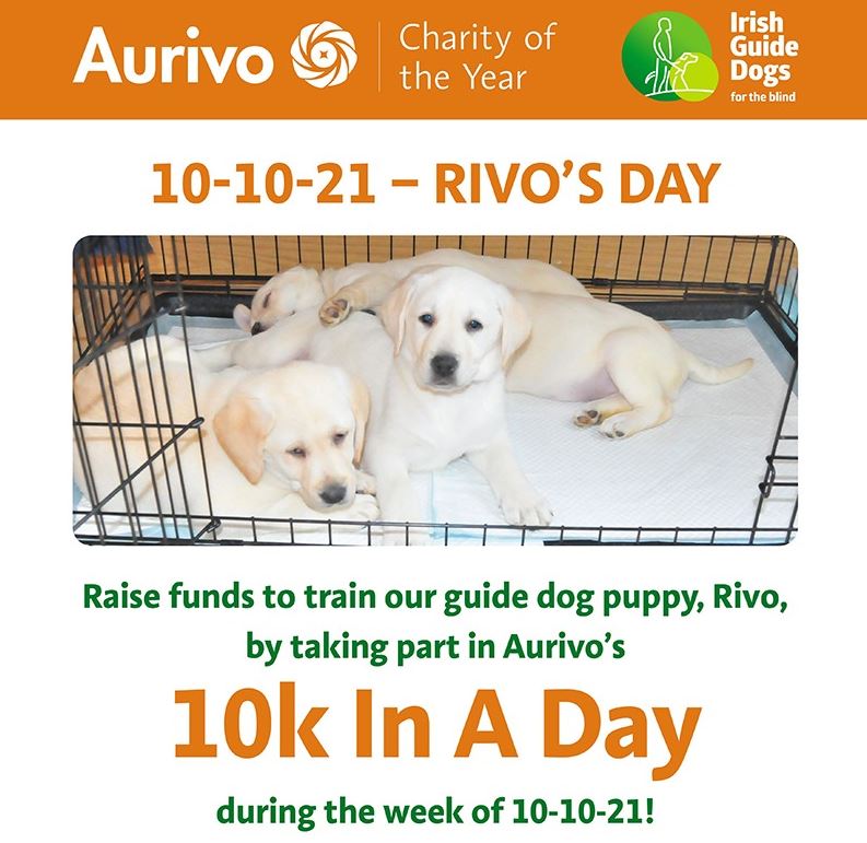 10k in a Day for Irish Guide Dogs for the Blind – homeland-ie