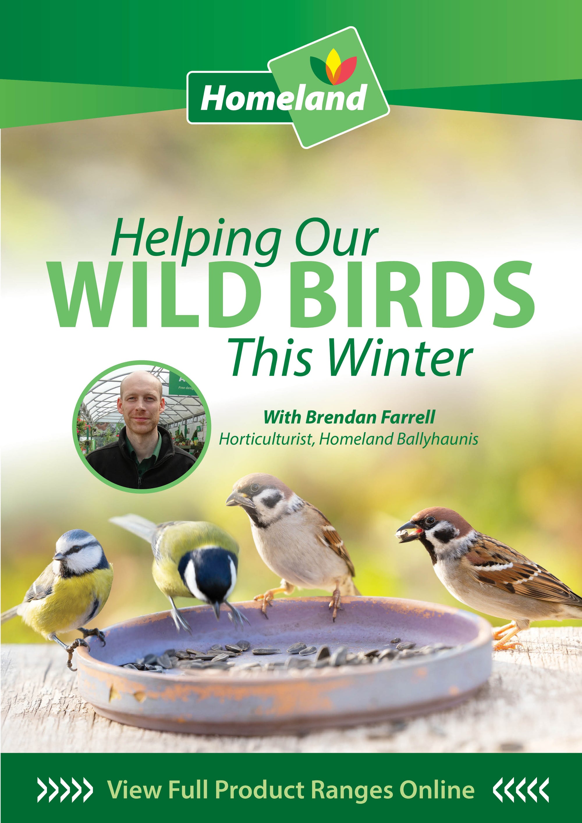 Helping our Wild Birds this Winter! – homeland-ie
