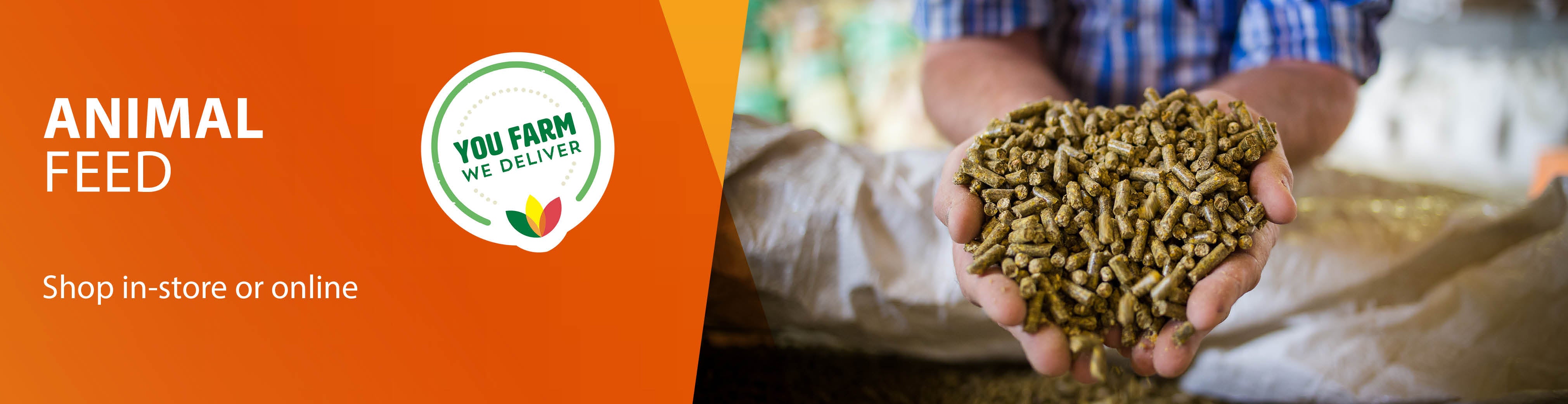 Feed – homeland-ie