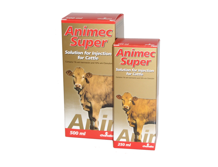 Homeland Stores – homeland-ie