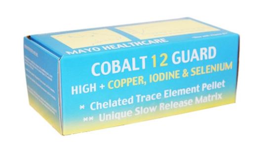 Cobalt 12 Guard High – homeland-ie