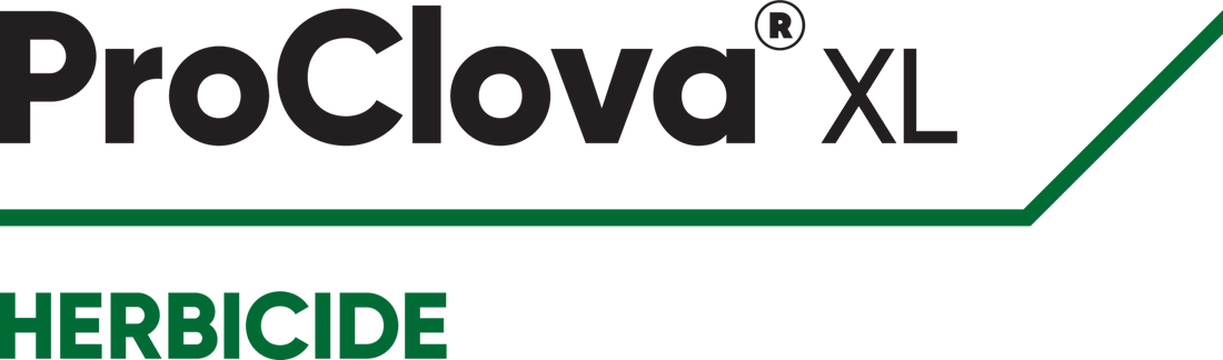 Proclova XL Pack – homeland-ie