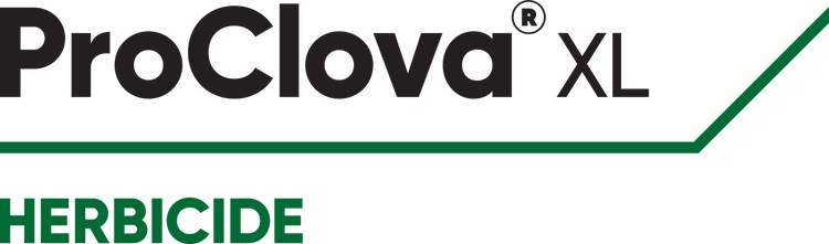 Proclova XL Pack – homeland-ie