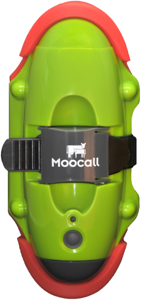 Moocall Calving Sensor – homeland-ie