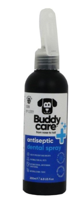 Buddy Care Antiseptric Dental Spray 200ml – homeland-ie