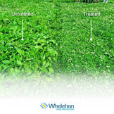 Proclova XL Pack – homeland-ie